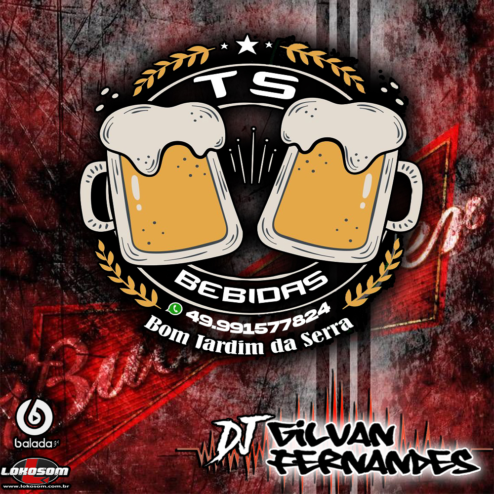 TS Bebidas Vol 2 - DJ Gilvan Fernandes - Balada G4